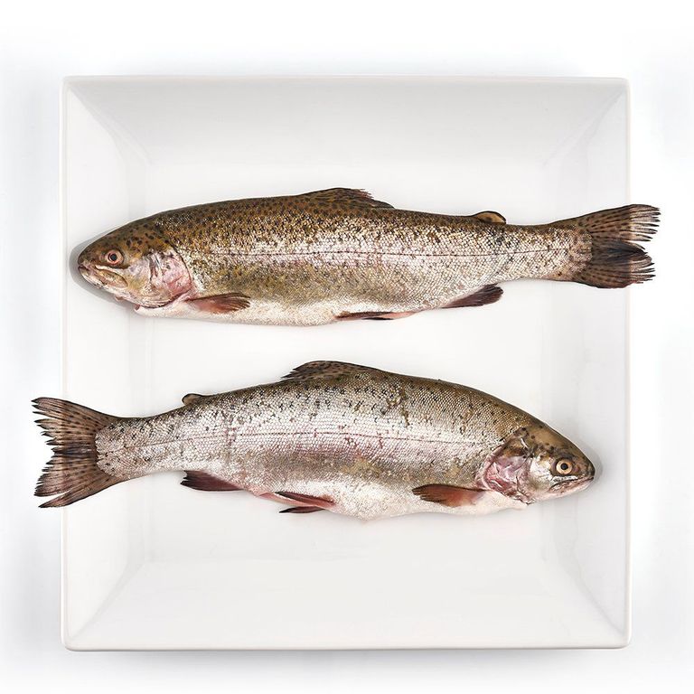 Trucha Entera Eviscerada Fresca x kg | Tottus Perú